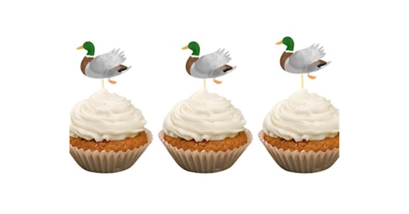 Duck Themed Cupcakes